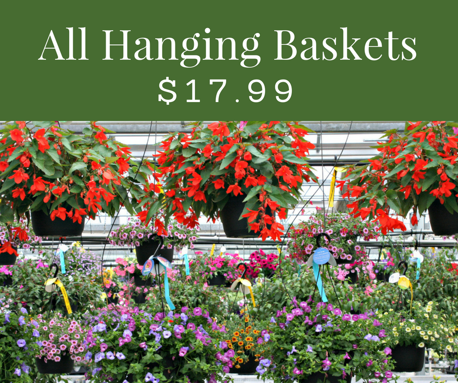 York County plants, trees & produce - Miller Plant Farm